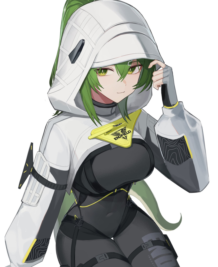 The Big ImageBoard (TBIB) - 1girl arknights arknights: endfield ...