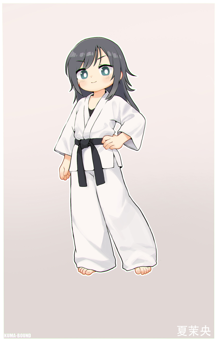 The Big ImageBoard (TBIB) - 1girl absurdres aqua eyes barefoot belt black belt black hair border ...