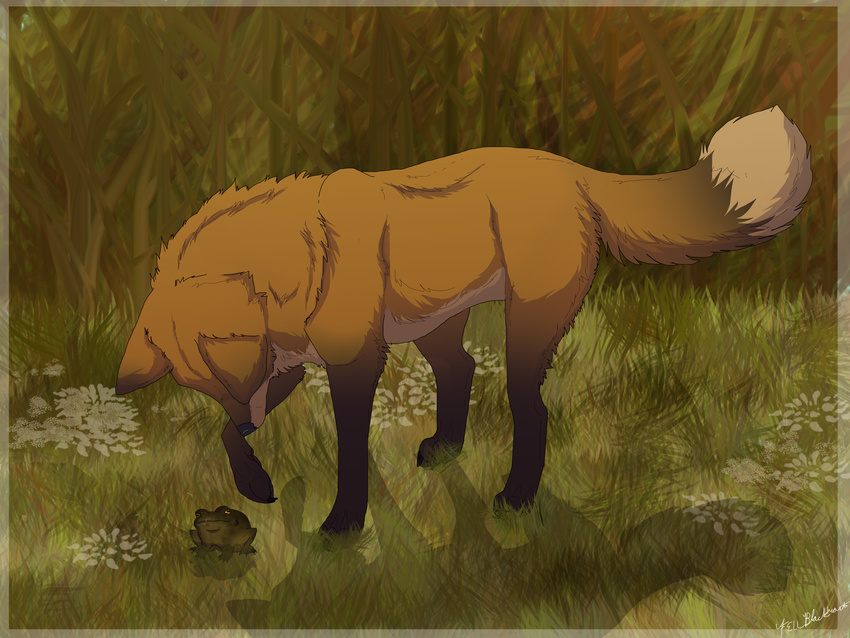 The Big ImageBoard (TBIB) - 4:3 absurd res ambiguous gender amphibian black body black fur canid ...