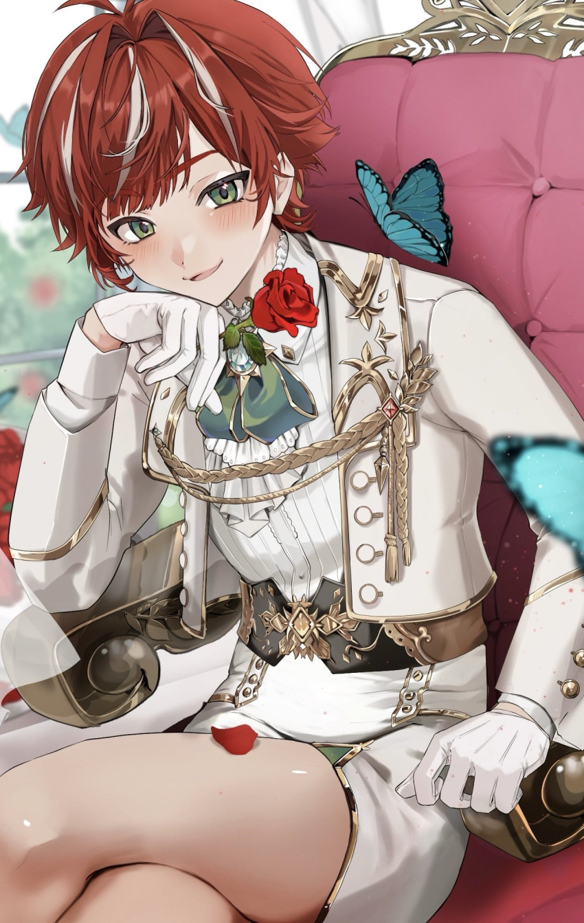 The Big ImageBoard (TBIB) - 1boy animal armchair ascot blue butterfly ...