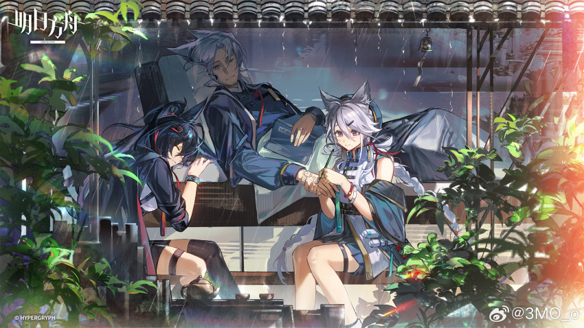 The Big ImageBoard (TBIB) - 1boy 2girls 3mo animal ear fluff animal ...