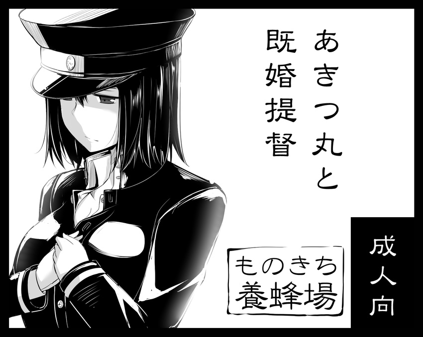 The Big Imageboard Tbib Akitsu Maru Kantai Collection Breasts