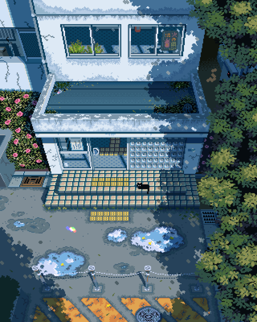 The Big ImageBoard (TBIB) - animal animated animated gif building cat day english commentary ...