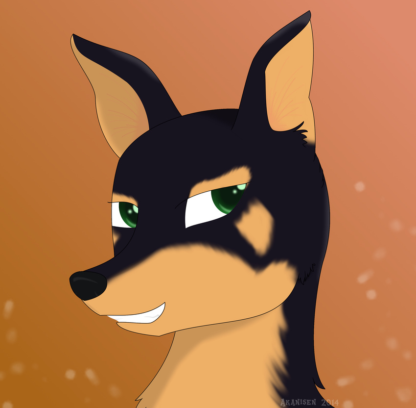 The Big ImageBoard (TBIB) - 2014 absurd res akanisen anthro black body black fur black nose ...