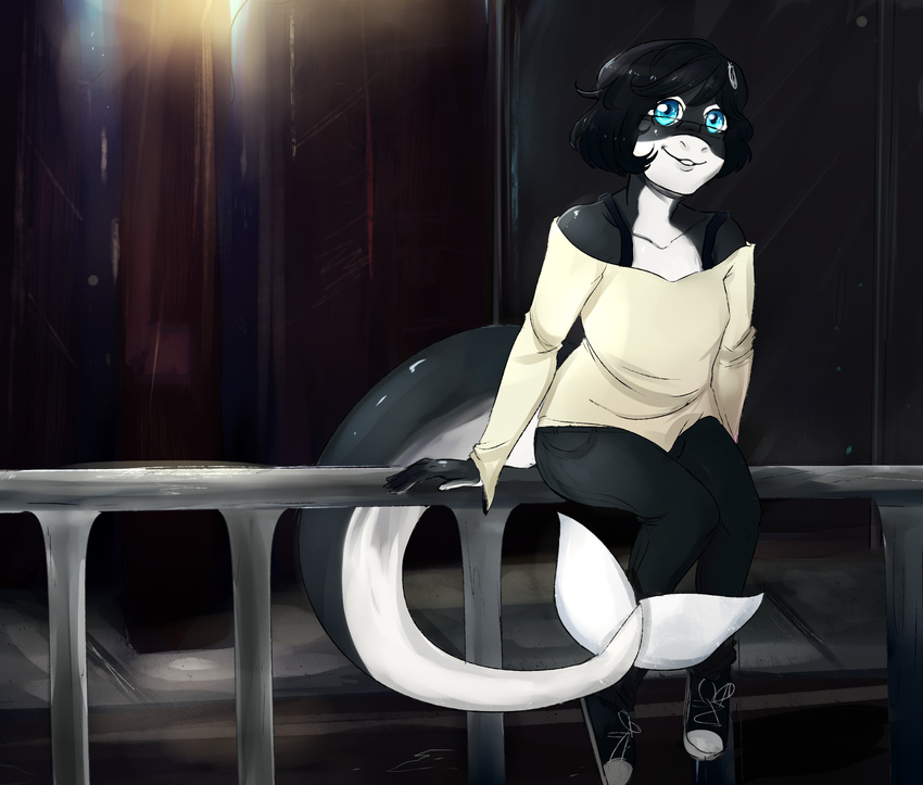 The Big Imageboard Tbib Anthro Avery Disambiguation Cetacean Dark