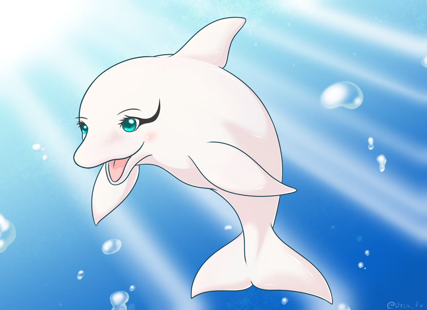 The Big Imageboard Tbib Blush Bubble Cetacean Dolphin Dolphinofhien