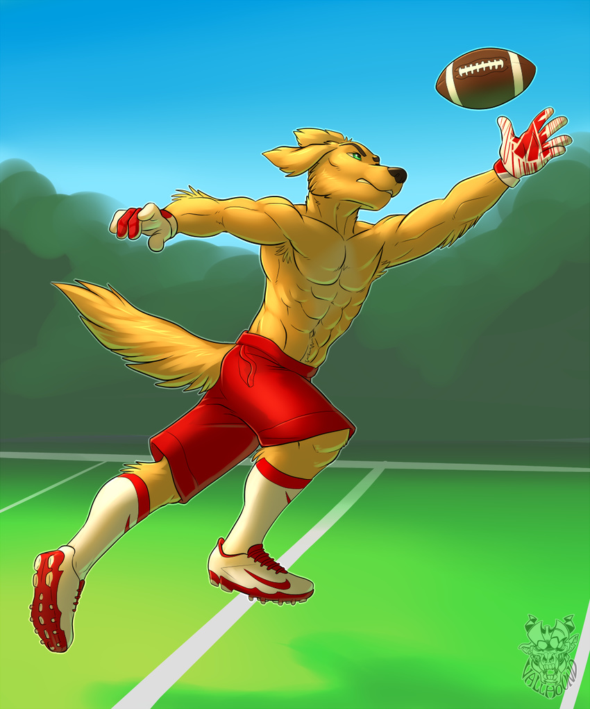 The Big ImageBoard (TBIB) - abs biceps canine chase (retriever) dog fur ...