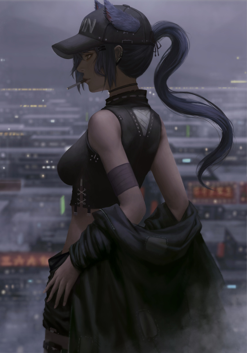 The Big ImageBoard (TBIB) - 1girl absurdres animal ears arknights baseball cap black hair black ...