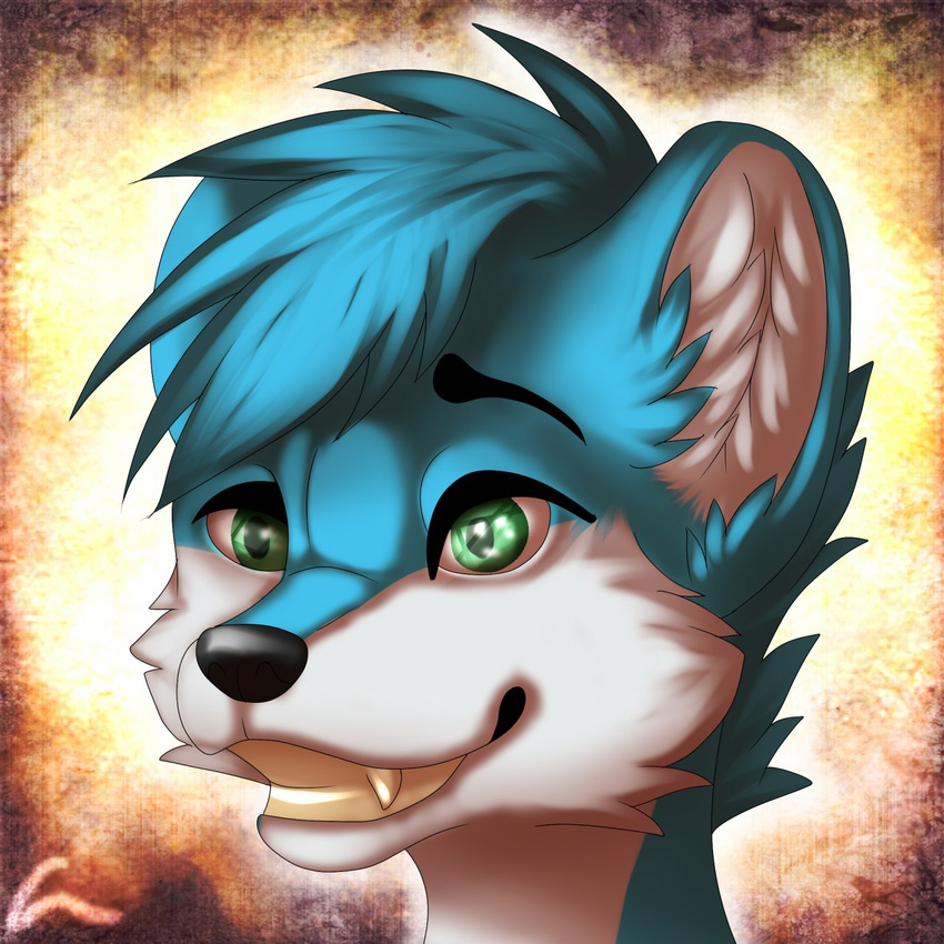 The Big ImageBoard (TBIB) - anthro blue fur blue hair canine crescent0100 fangs female fur hair ...