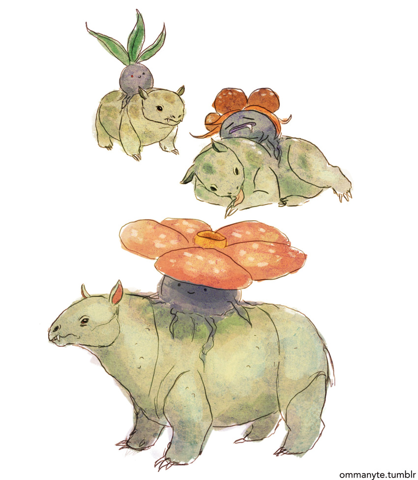 The Big Imageboard Tbib Ambiguous Gender Bulbasaur Feral Generation