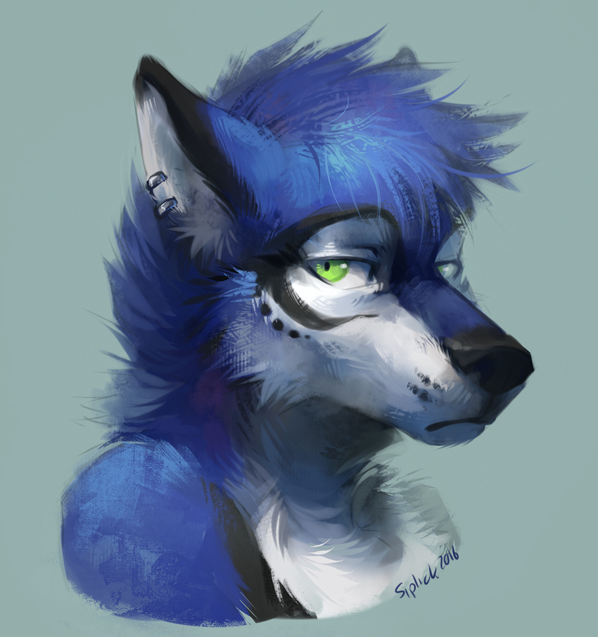 The Big ImageBoard (TBIB) - 2016 anthro black fur black nose blue fur bored bust portrait canine ...