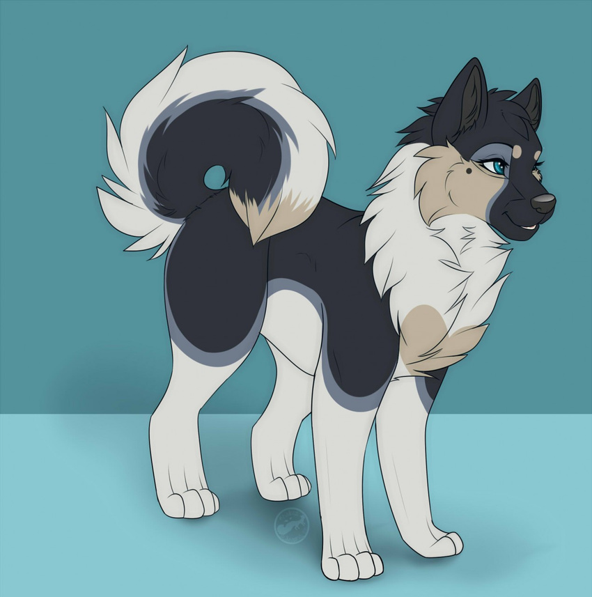 The Big ImageBoard (TBIB) - 4 toes ambiguous gender black body black fur blue eyes canid canine ...