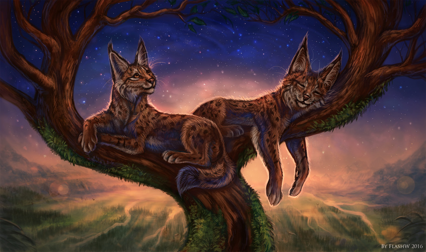 The Big ImageBoard (TBIB) - 2016 4 fingers 4 toes amber eyes ambient bird ambient flier ambient ...