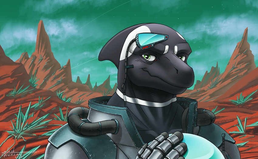 The Big ImageBoard (TBIB) - anthro cetacean dolphin male mammal marine oceanic dolphin orca ...