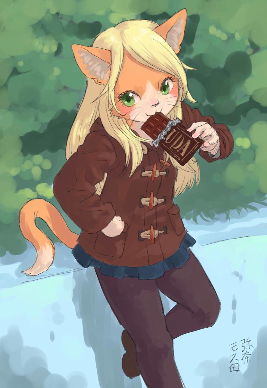 The Big Imageboard Tbib Artist Request Blonde Hair Cat Chocolate
