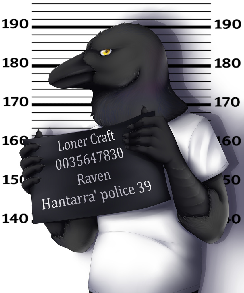 The Big Imageboard Tbib 5 Fingers Anthro Avian Beak Bird Black Beak