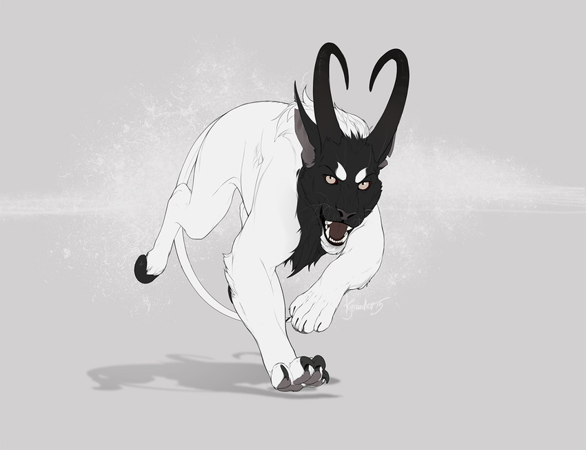 The Big ImageBoard (TBIB) - 2015 4 toes ambiguous gender black fur ...