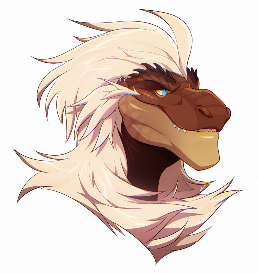 The Big Imageboard Tbib Anthro Blue Eyes Brown Skin Close Up