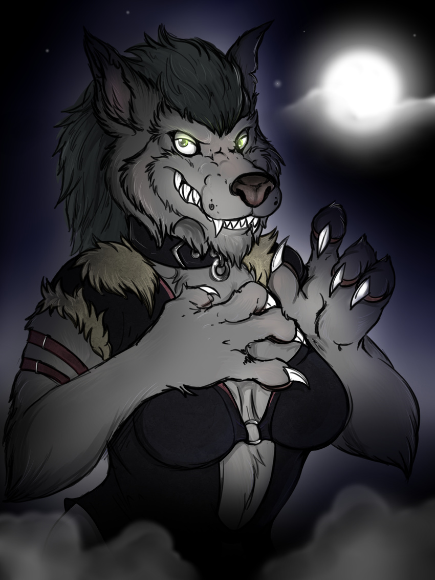 The Big ImageBoard (TBIB) - anthro canine claws clothed clothing cloud collar digital media ...