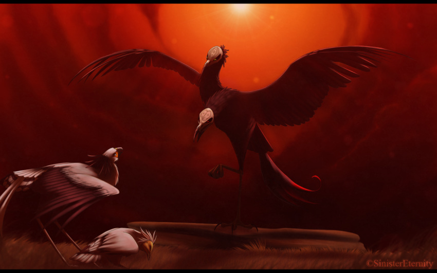 The Big ImageBoard (TBIB) - 16:10 2012 4 toes accipitrid accipitriform ...