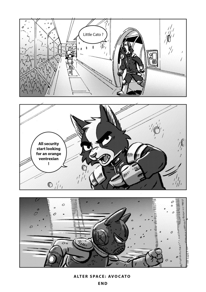 The Big Imageboard Tbib 2018 Avocato Better Version At Source Cat Comic English Text Feline