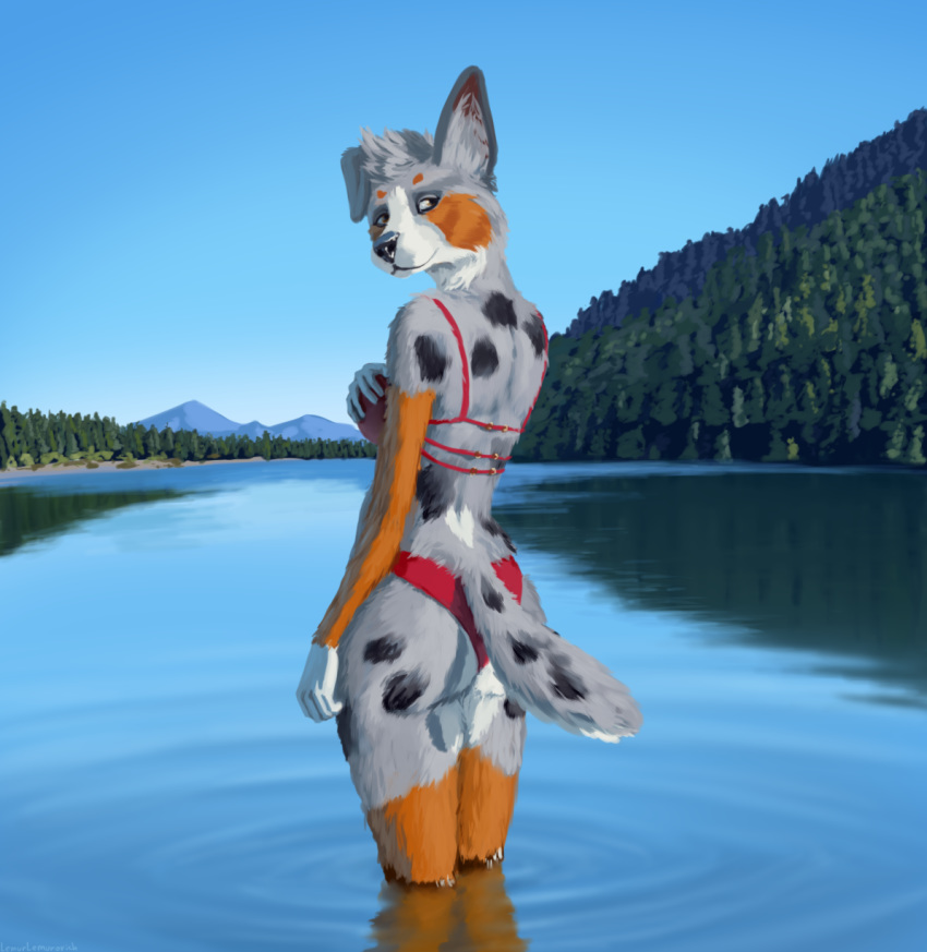 The Big Imageboard Tbib Anthro Australian Shepherd Ball Beach Bikini Black Fur Blue Sky
