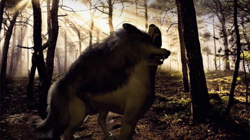 The Big ImageBoard (TBIB) - 16:9 2019 3d (artwork) 3d animation ...