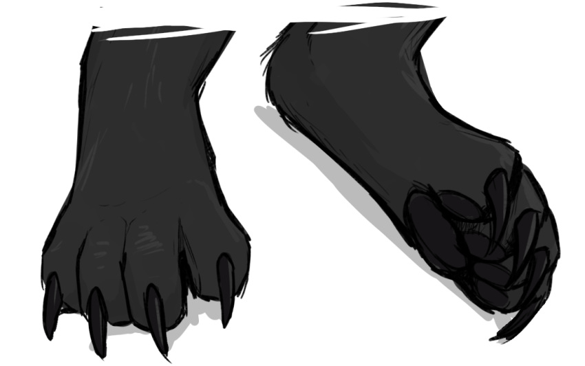 The Big ImageBoard (TBIB) - 2019 4 toes ambiguous gender black body black fur black pawpads ...