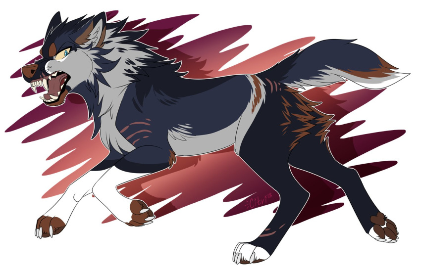 The Big ImageBoard (TBIB) - 2018 4 toes black fur black lips blue eyes brown fur brown nose ...