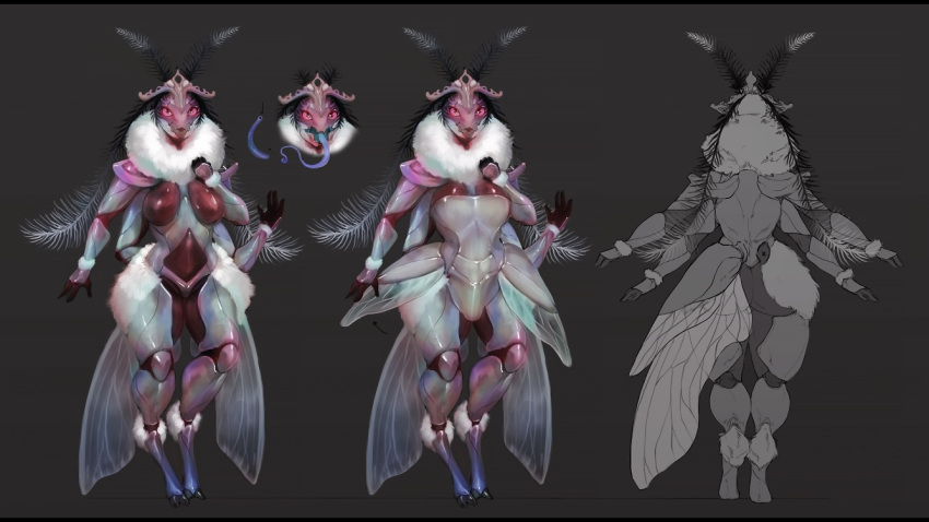 The Big Imageboard Tbib Antennae Anatomy Arthropod Big Butt