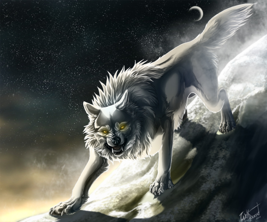 The Big ImageBoard (TBIB) - 2011 4 toes black lips black nose canid canine canis detailed ...