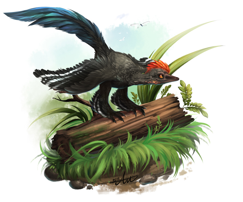 The Big ImageBoard (TBIB) - 2018 6:5 absurd res ambient arthropod ambient insect ambiguous ...