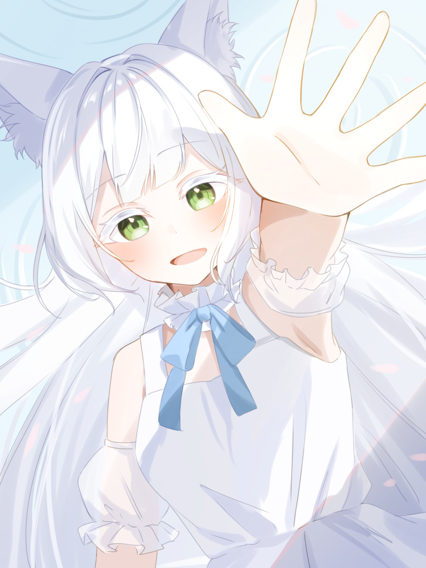 The Big ImageBoard (TBIB) - 1girl absurdres alternate costume animal ear fluff animal ears ...