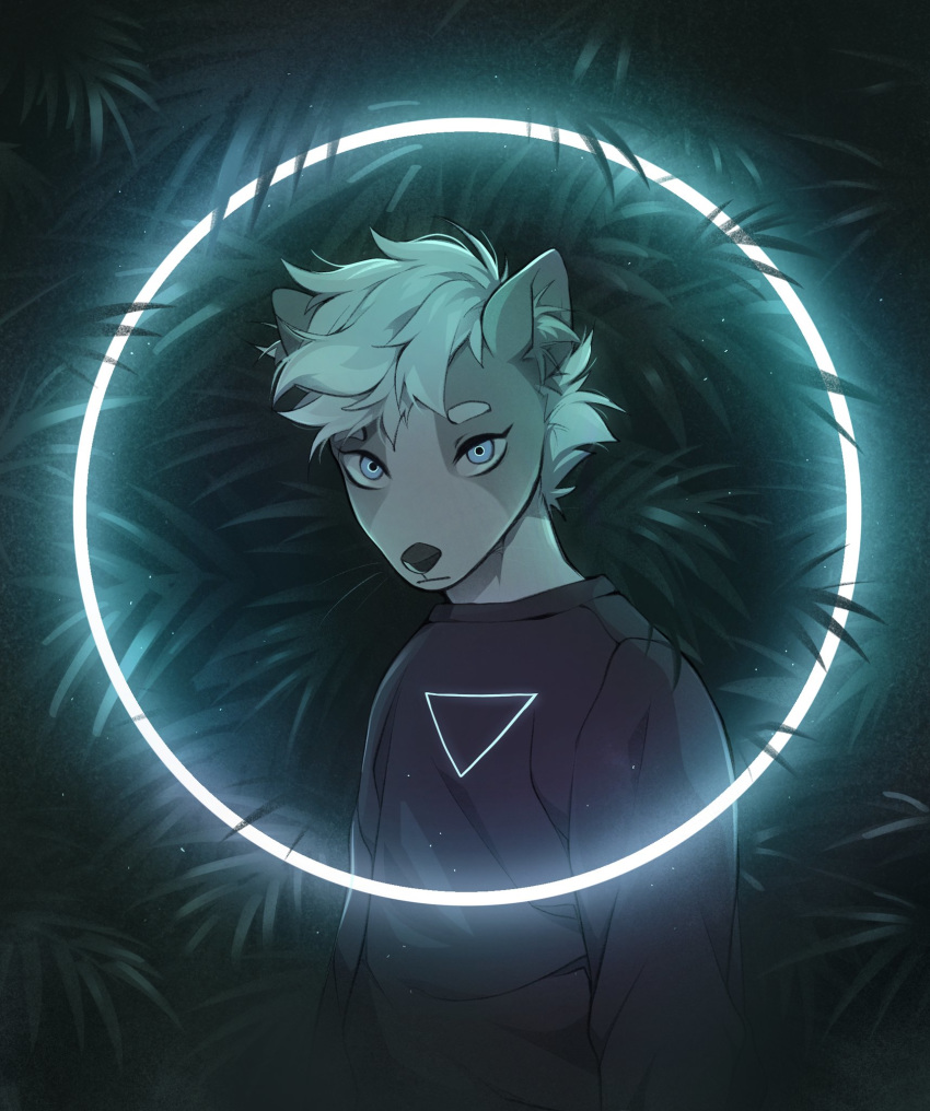 The Big Imageboard Tbib 2020 Ambiguous Gender Anthro Black Nose