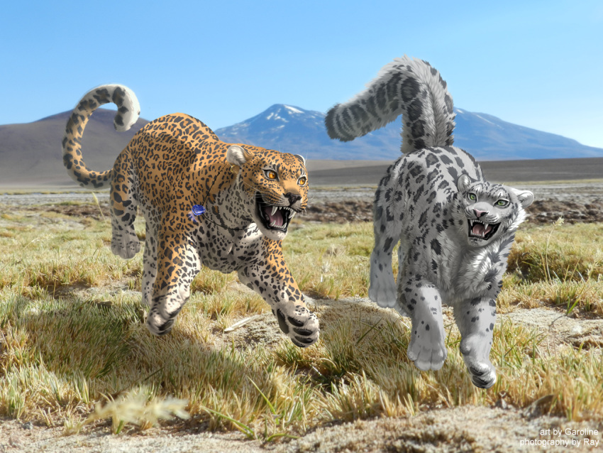 The Big ImageBoard (TBIB) - 2020 bastet (world of darkness) black lips ...