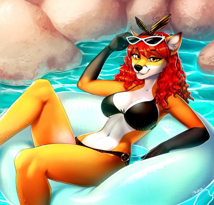 The Big ImageBoard (TBIB) - 2020 anthro bikini canid canine clothing digital media (artwork ...