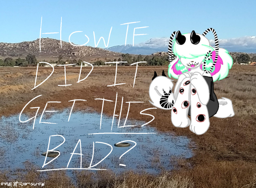 The Big Imageboard Tbib Ambiguous Gender Anthro Hybrid Multi Eye