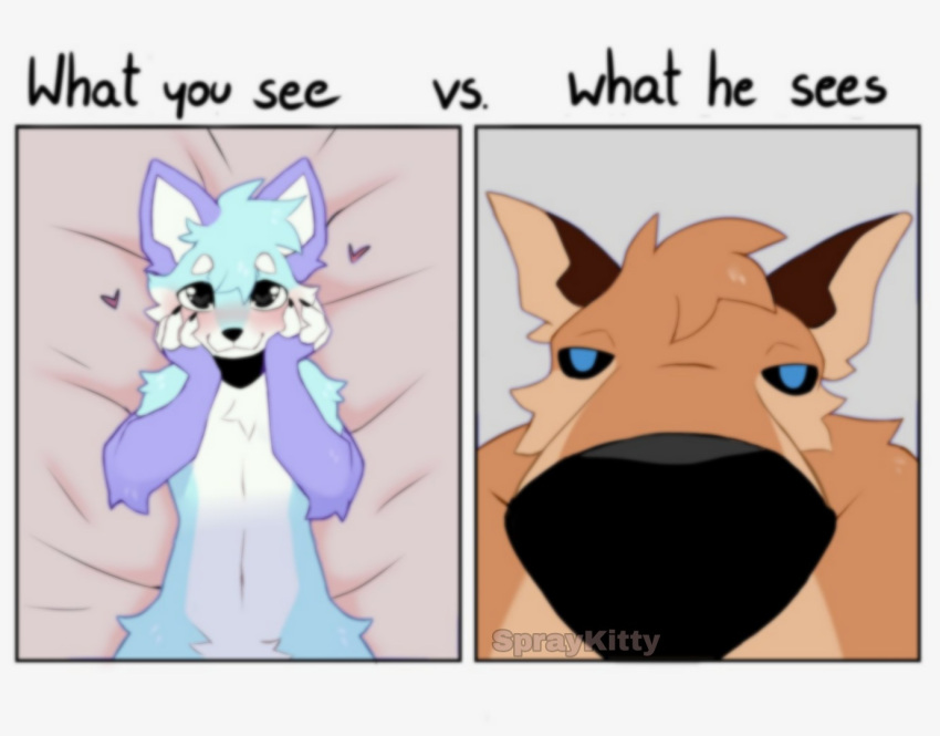 The Big Imageboard Tbib 2023 Artist Name Black Nose Blue Body Blue Eyes Blue Fur Blush Brown
