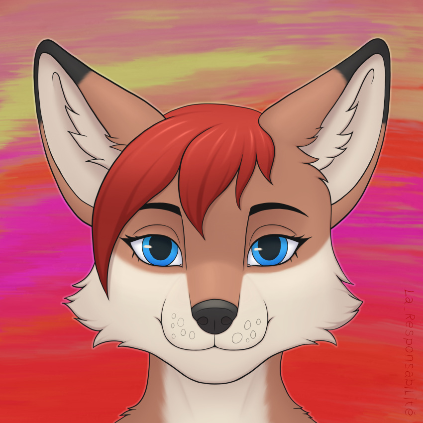 The Big Imageboard Tbib Abstract Background Anthro Blue Eyes Canid