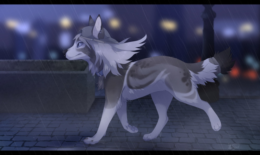 The Big ImageBoard (TBIB) - 2017 4 toes black nose canid canine canis clothing detailed ...