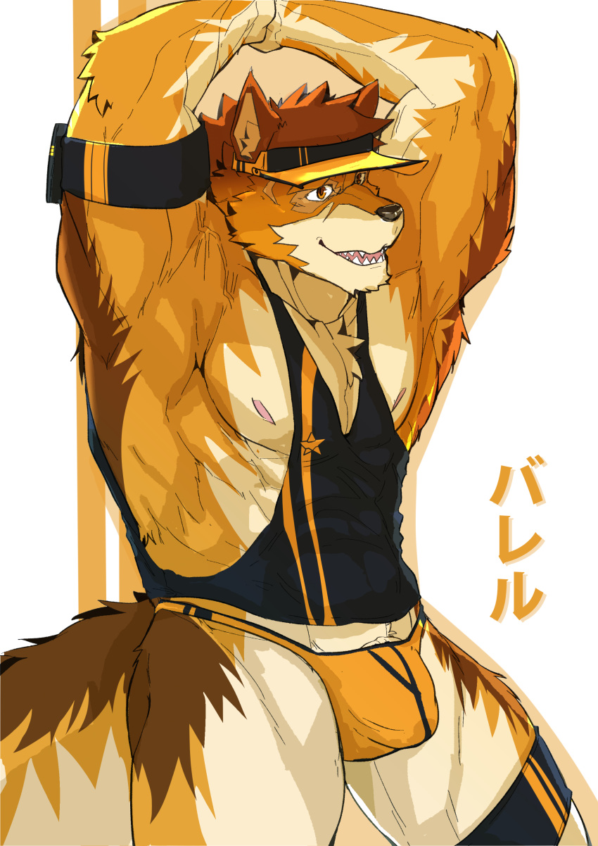 The Big ImageBoard (TBIB) - abs absurd res anthro arms above head asiahao520 barrel (live a hero ...