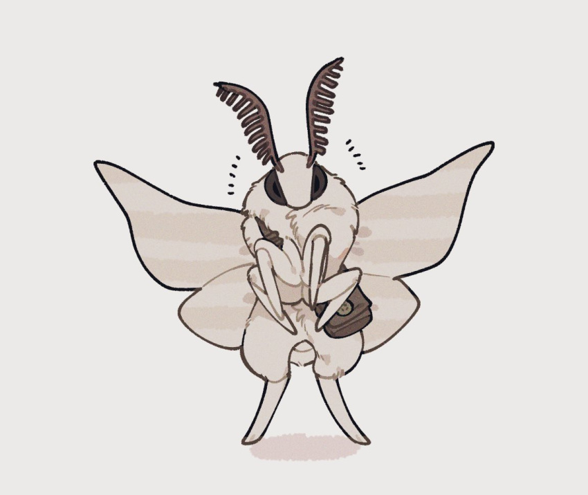 The Big Imageboard Tbib 6 Legs Ambiguous Gender Antennae Anatomy