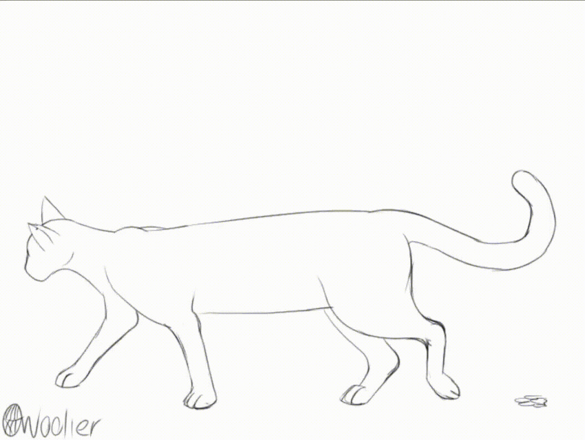The Big ImageBoard (TBIB) - 2d animation ambiguous gender animated ...