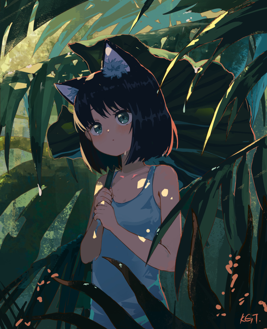 The Big ImageBoard (TBIB) - 1girl animal ears aqua eyes black hair bob cut cat ears cat girl ...