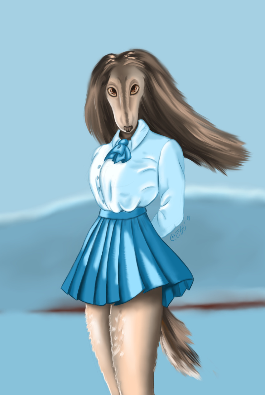 The Big ImageBoard (TBIB) - absurd res afghan hound anthro beach bottomwear canid canine canis ...