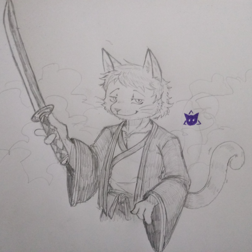 The Big ImageBoard (TBIB) - 1:1 anthro asian clothing clothed clothing domestic cat east asian ...