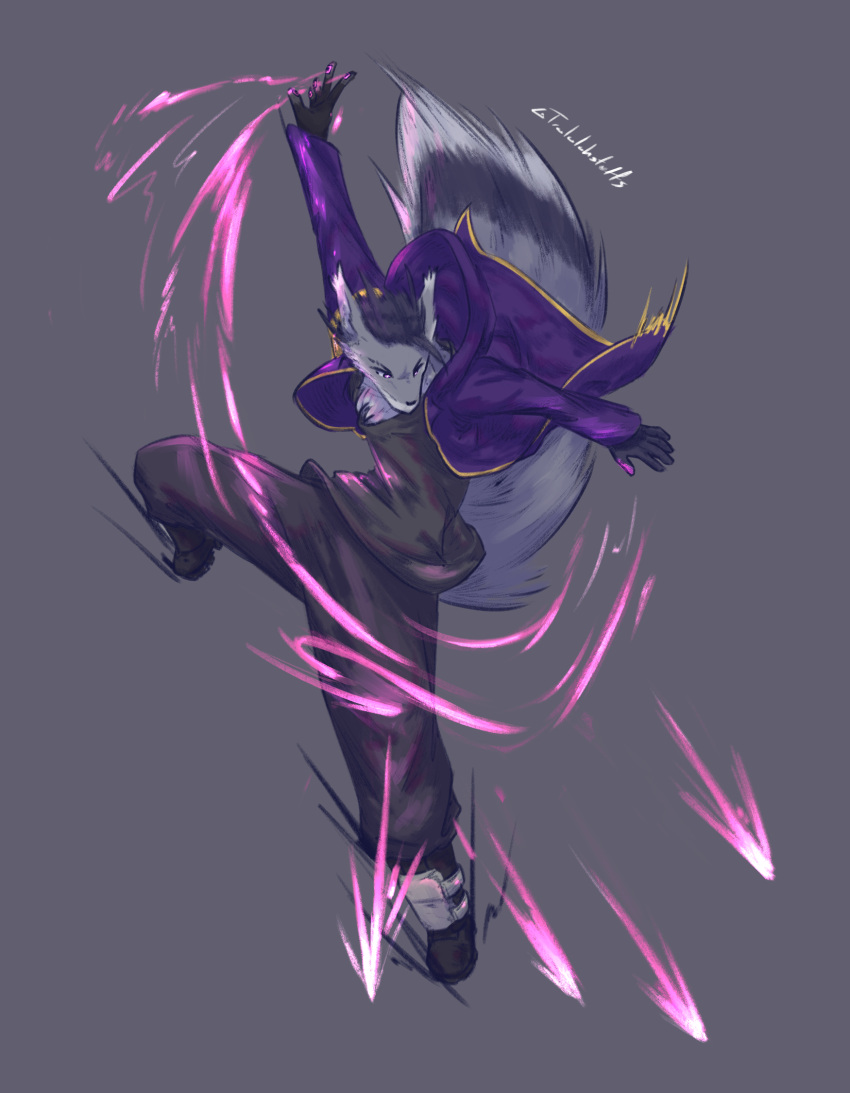 The Big Imageboard Tbib 2022 Action Pose Anthro Bottomwear Canid