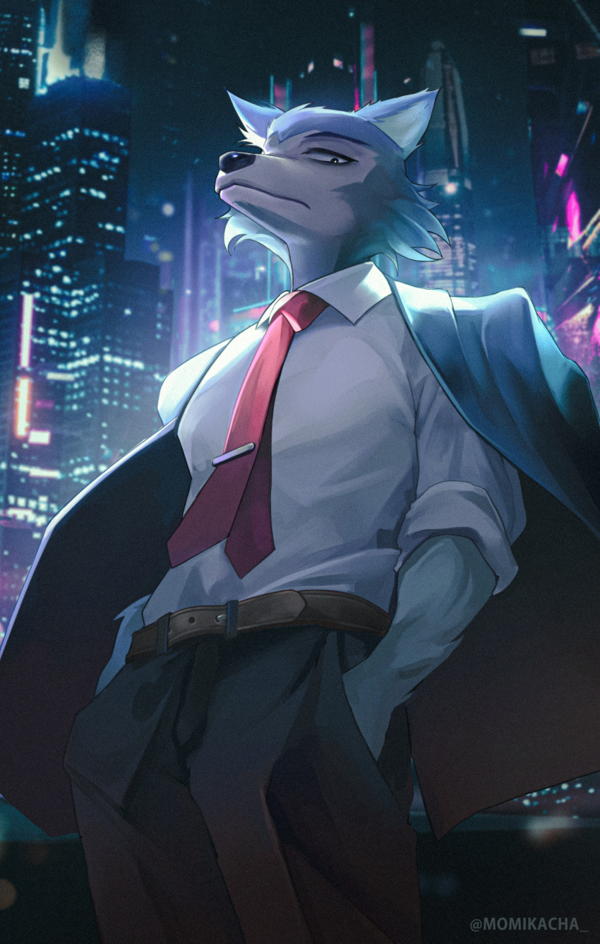 The Big ImageBoard (TBIB) - 2022 absurd res anthro beastars belt bottomwear canid canine canis ...